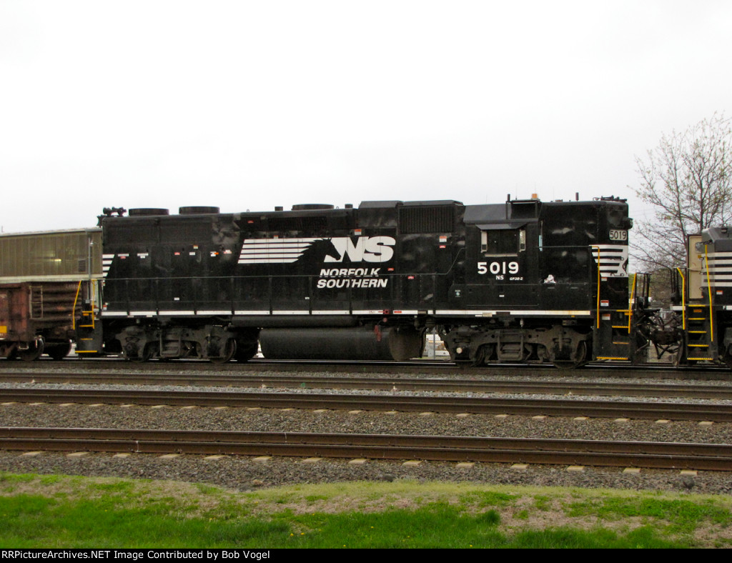 NS 5019